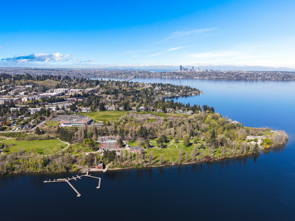 What's happening on Mercer Island? - Michelle Yorke Design